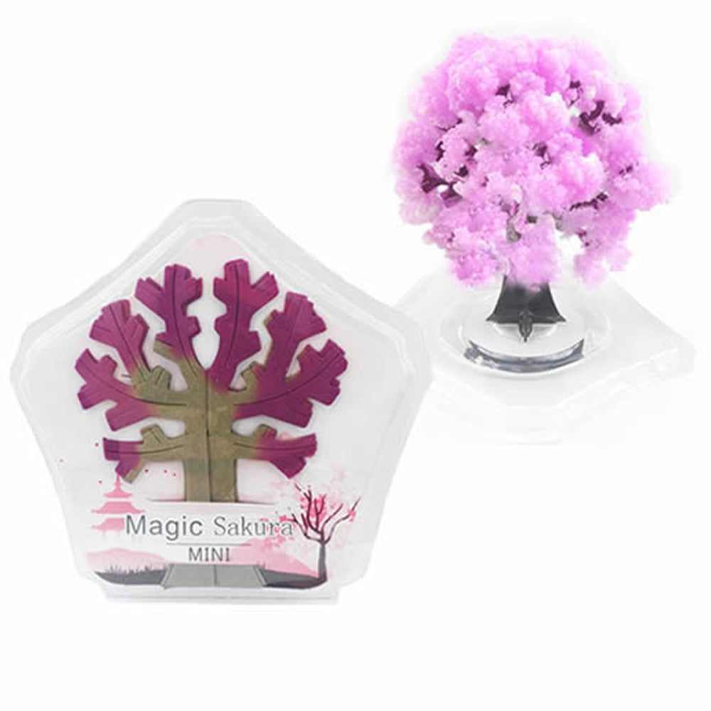 Magic Growing Paper Sakura Tree | Spring Sakura